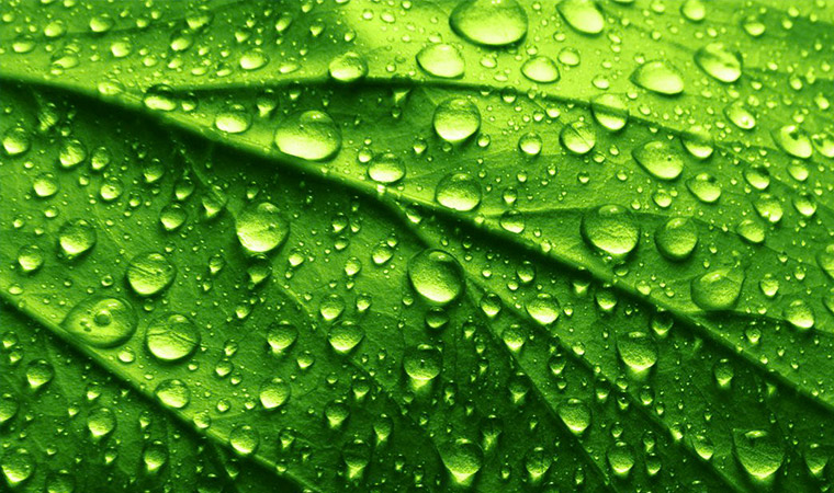 Commercial Developments – Davy Inc.